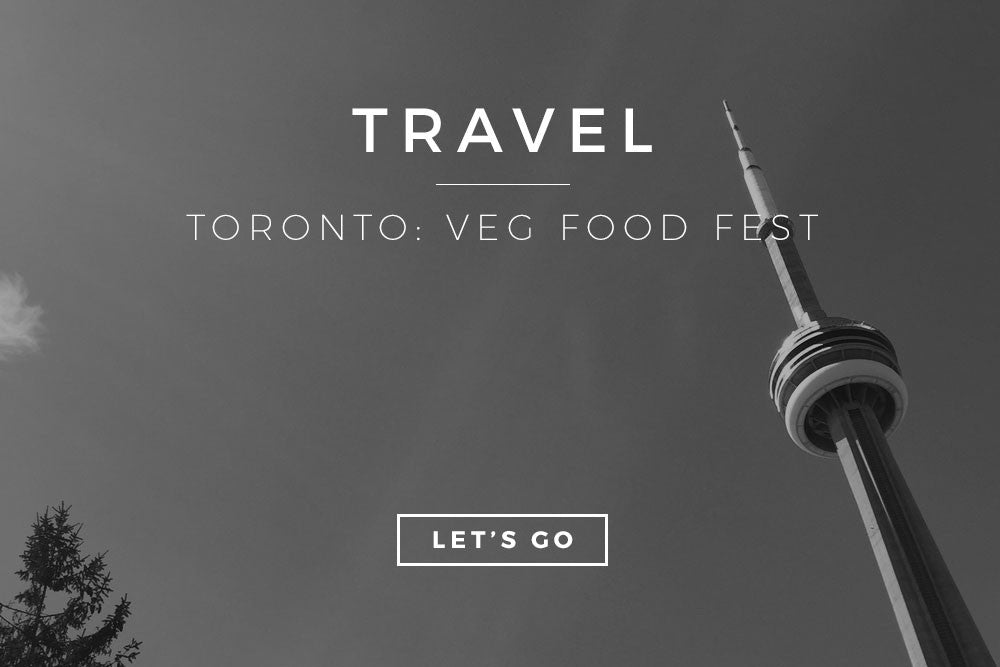 Our Trip To Toronto Veg Fest! – BEETxBEET